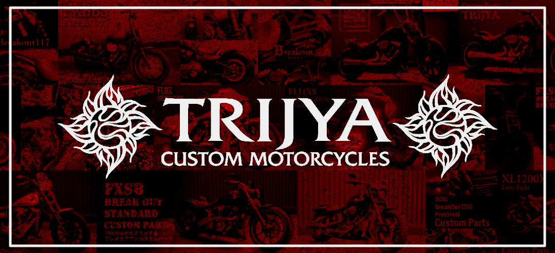 トライジャ 最小ウインカー対応 ステー（TRIJYA製品専用）【18年以降 FXBR/S】 TRIJYA NANO Turn signal ...